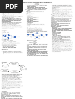 ICT Practical Exam Paper 2 2024 | PDF | Computer File | Databases