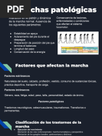 Marcha en Tijera y de Trendelenburg | PDF | Pelvis | Especialidades Medicas