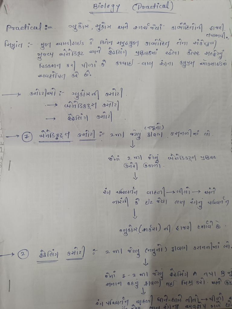 Adobe Scan 17 Feb 2026 | PDF