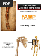 Músculos da Cintura Escapular e Movimentos | PDF | Sistema Locomotor ...