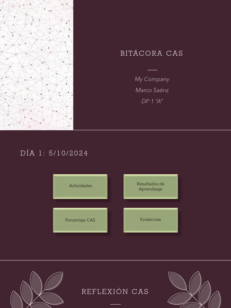 Bitácora CAS | PDF | Comunicación humana | Aprendizaje