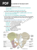 Pelvic Peritoneum and Fascia Anatomy | PDF | Pelvis | Peritoneum