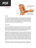 Síndrome del Opérculo Torácico: Anatomía y Diagnóstico | PDF | Anatomía ...