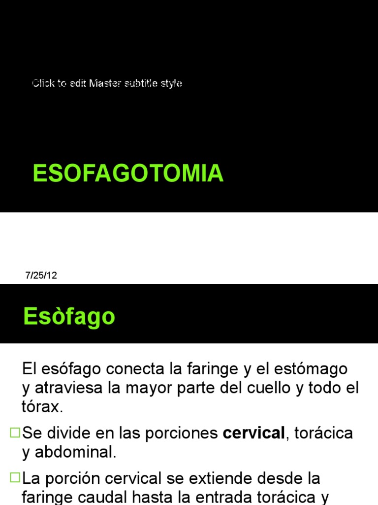 ESOFAGOTOMIA | PDF | Esófago | Tórax