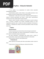 Anatomia da Região Poplítea | PDF | Joelho | Anatomia humana
