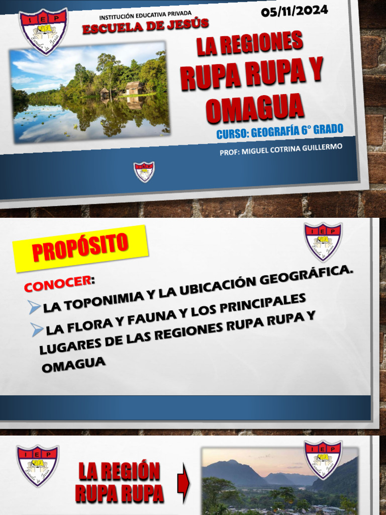 LA REGION RUPA RUPA y OMAGUA 6° GRADO | PDF