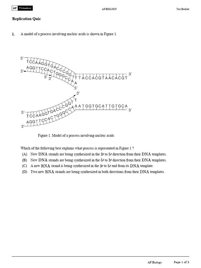 College Board Dna Replication Quiz | PDF | Dna Replication | Nucleotides