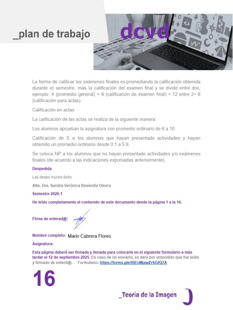Mario Cabrera Flores, Plan de Trabajo Firmado | PDF