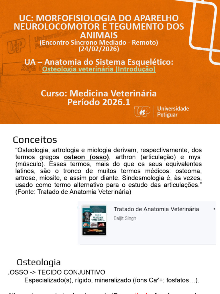 AULA 3 2026.1 PPT - UnP - Morfofisio Do Apar Neurolocom e Tegum Dos ...