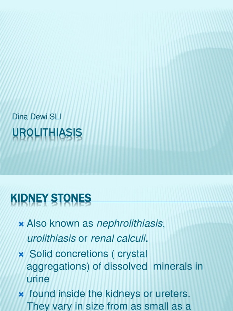 Urolithiasis | Organ (Anatomy) | Urinary System