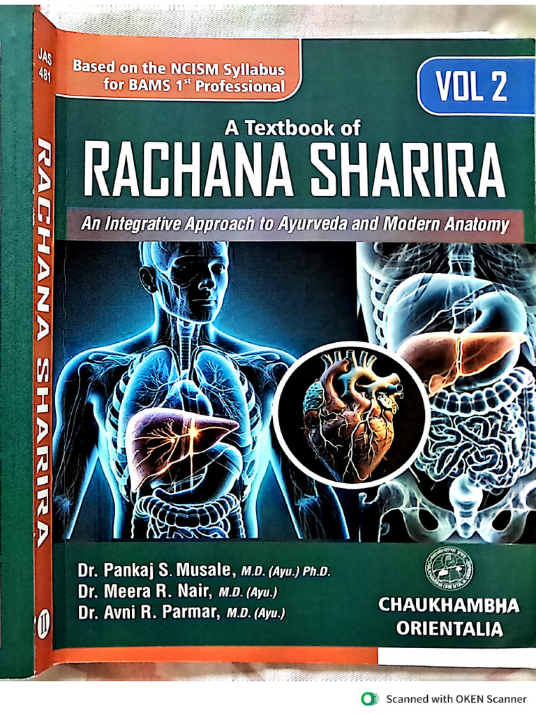 Anatomy Vol 2 | PDF