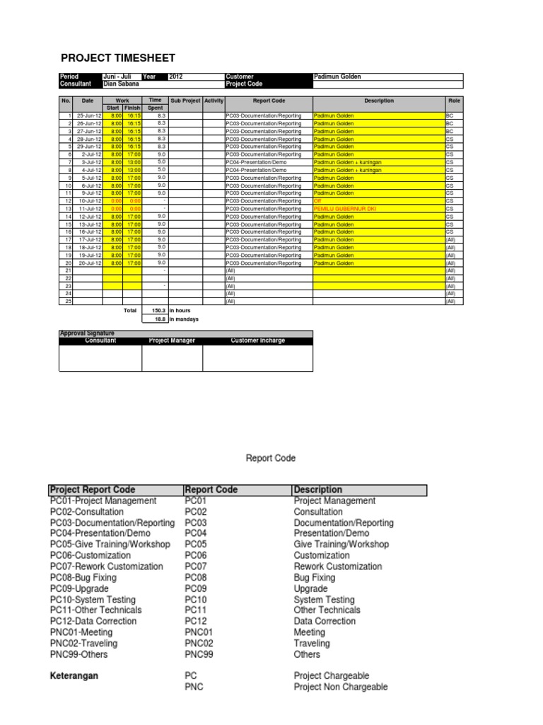 Project Timesheet Report 2012 | PDF