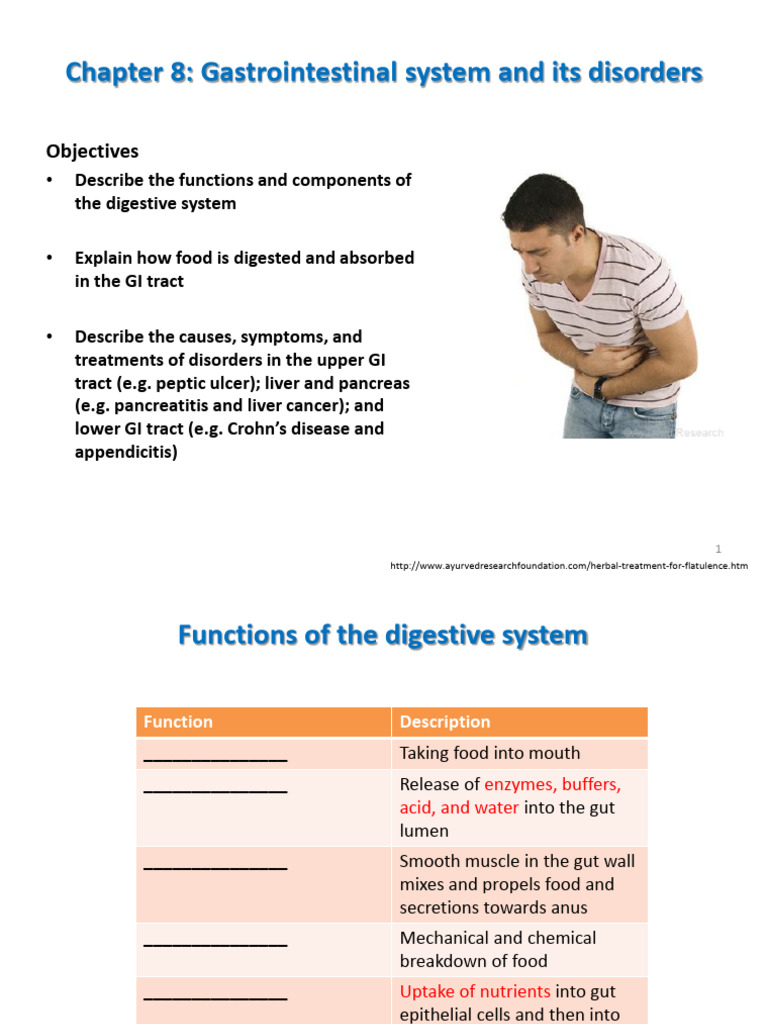 APP Chapter 8 Gastrointestinal Disorders | PDF | Digestion ...