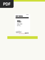 Offset Printing Troubleshooting Guide | PDF | Nature
