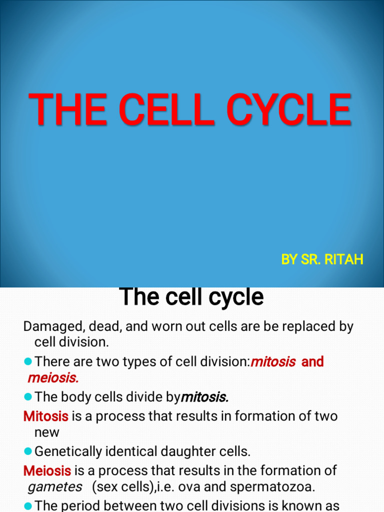 Cell Cycle PPT by Ritah | PDF | Mitosis | Cell Biology