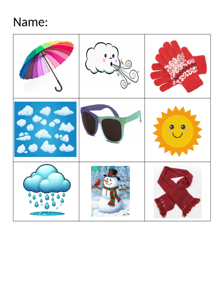Bingo Cards Weather | PDF