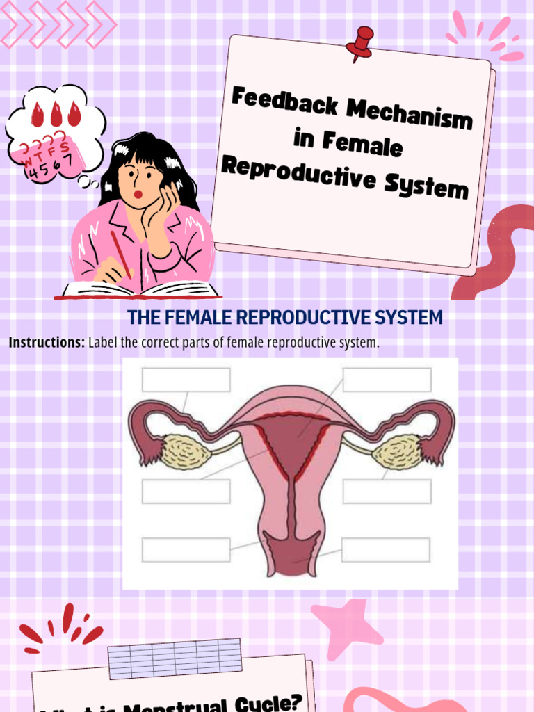 Lesson 3 - Feedback Mechanism in Female Reproductive System | PDF ...