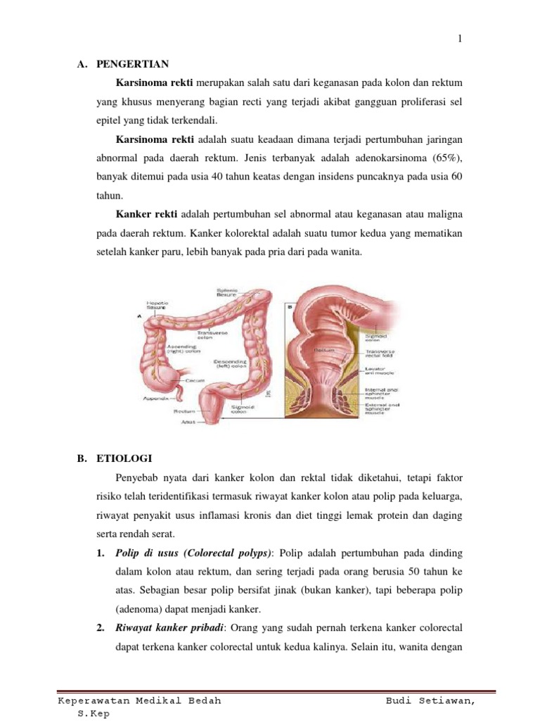 Panduan Kanker Kolorektal | PDF | Sains & Matematika