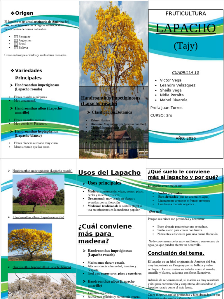 Lapacho | PDF | Arboles | Plantas