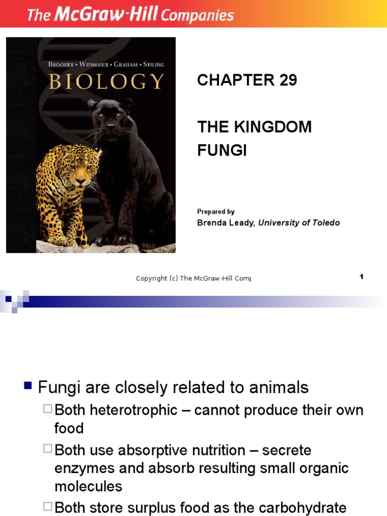 The Kingdom Fungi | PDF | Fungus | Plants
