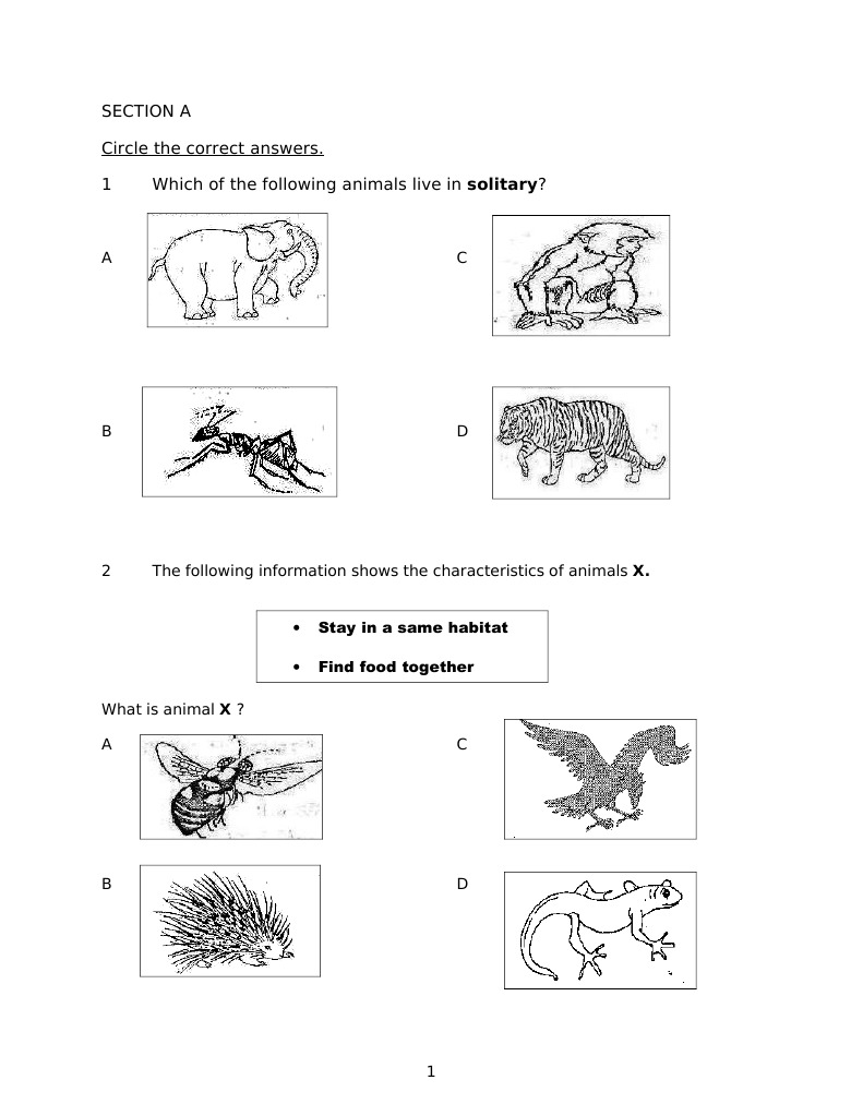 Science Test Year 6-Easy Level | PDF | Habitat | Natural Environment