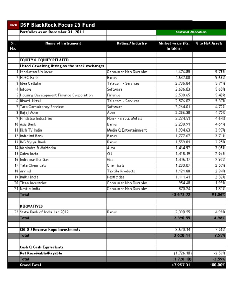 DSP BlackRock Focus 25 Fund Overview | PDF | Business | Finance & Money ...