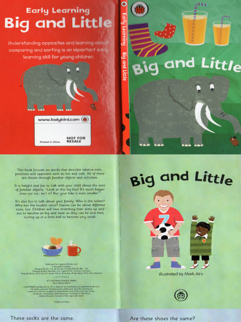 Big and Little | PDF