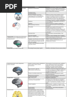 Neurological Terminology Glossary | PDF | Myelin | Central Nervous System