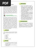 Experimento de Maicena y Agua para Niños | PDF | Líquidos | Mezcla