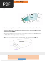 Insect Wing Modifications and Coupling | PDF | Insects | Hexapoda