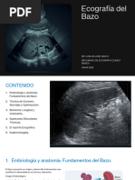 Tamaño y Ecografía del Bazo Normal | PDF | Bazo | Abdomen