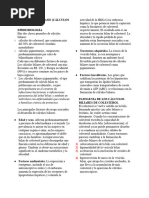 Anatomía del triángulo de Calot y Buddé | PDF | Vesícula biliar | Hígado