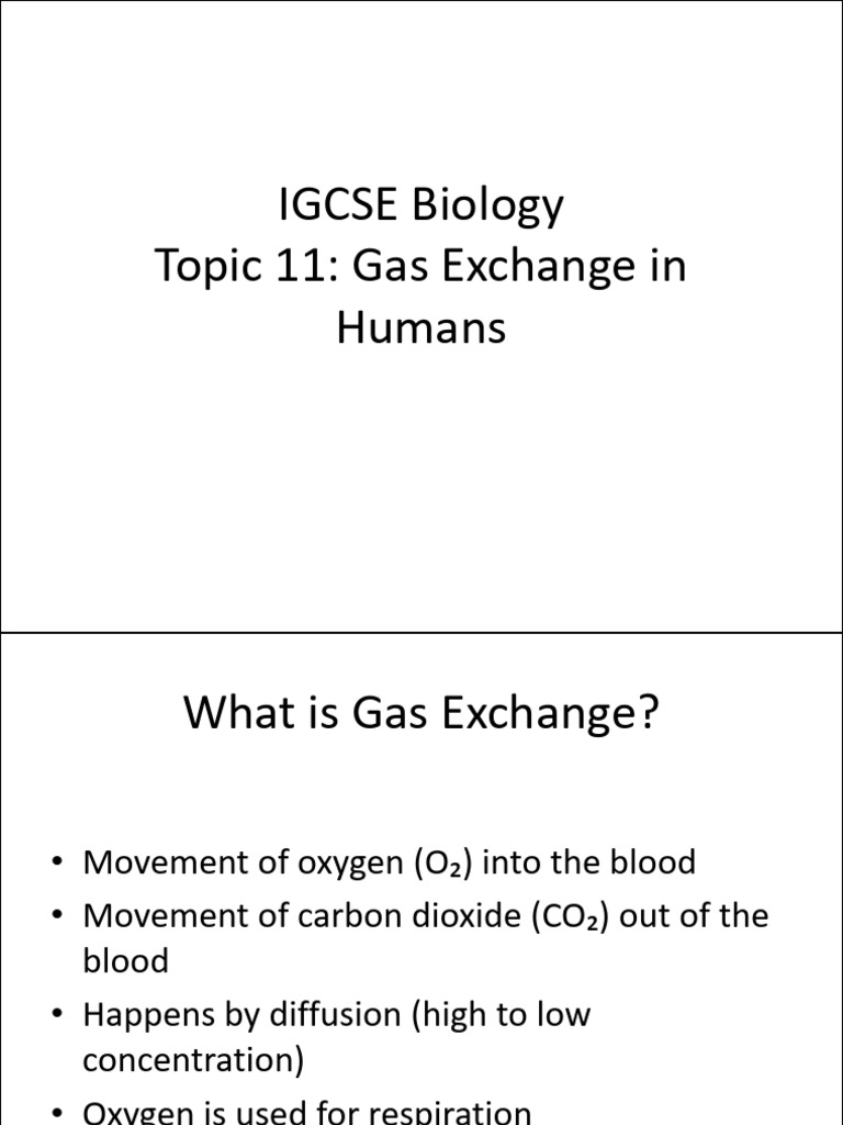 IGCSE Biology Topic 11 Gas Exchange Form 3 | PDF
