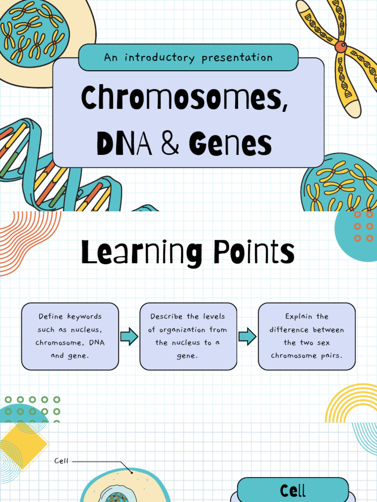 Chromosomes, DNA and Genes Biology Presentation in A Bold Colorful ...