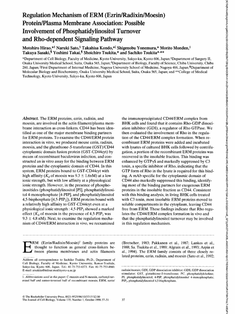 Regulation Mechanism ERM | PDF | Monoclonal Antibody | Western Blot