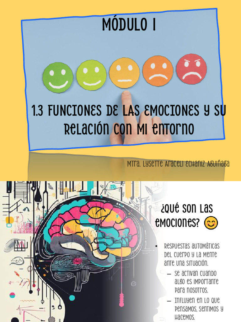 Funciones de La Emociones | PDF | Las emociones | Ira