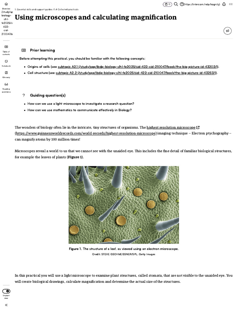 Using Microscopes and Calculating Magnification _ IB DP Biology SL_HL ...
