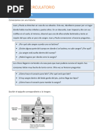 Sistema Urinario: Estructuras y Funciones | PDF | Riñón | Morfología ...