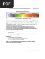 Escala Visual Analógica - EVA para Dor | PDF