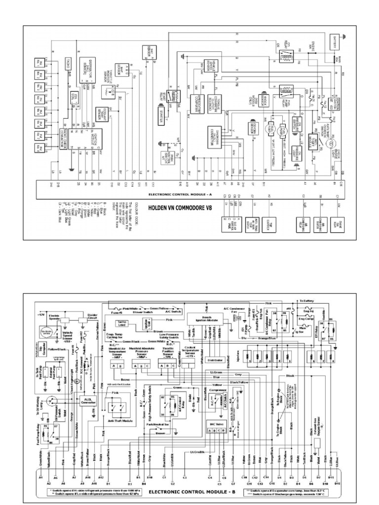 Holden VN Commodore V8 Electronic Control Module Wiring Diagram | PDF ...
