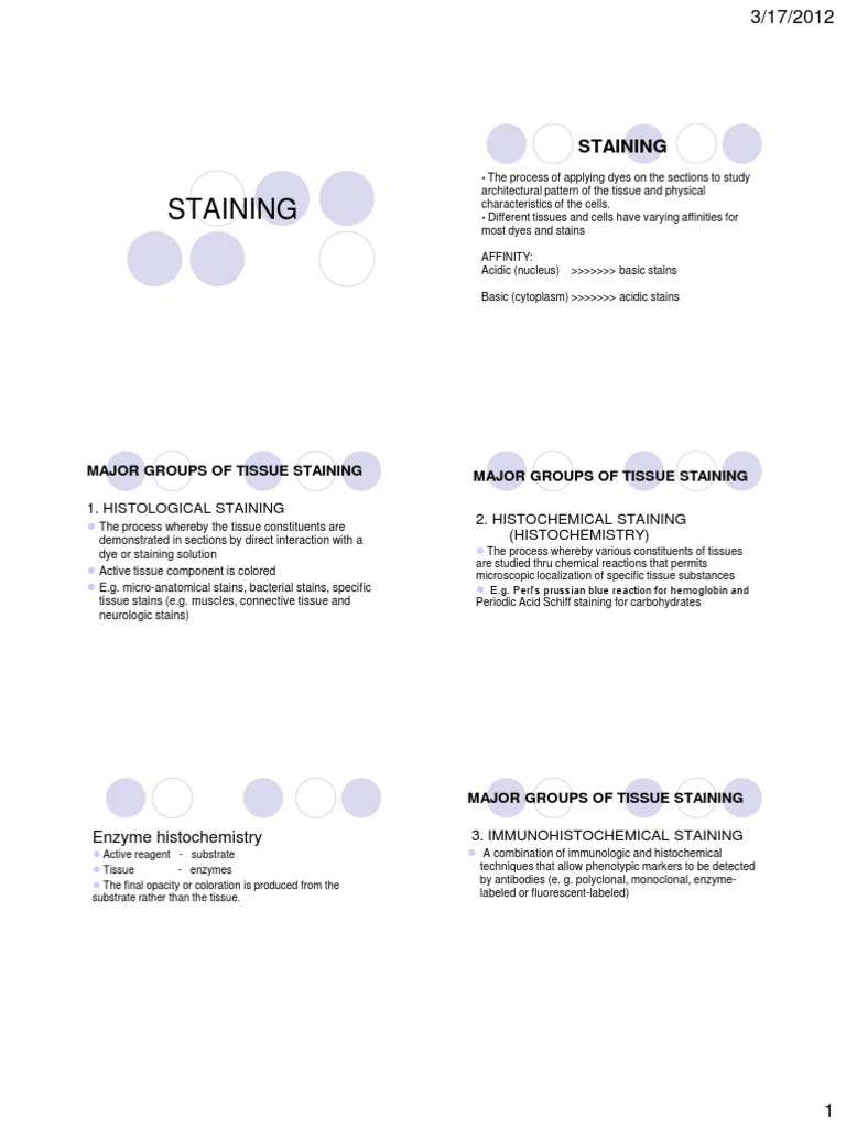A Comprehensive Guide to Tissue Staining Techniques and Procedures ...