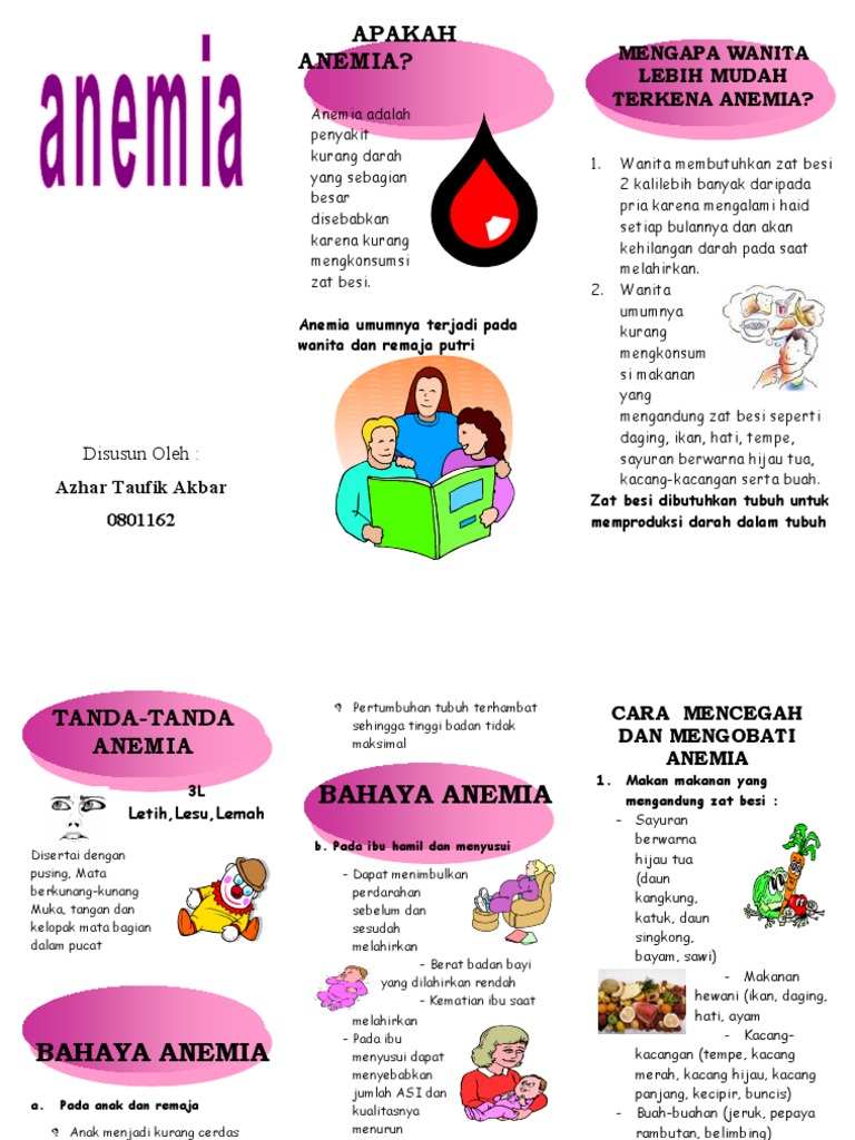 Leaflet Anemia 1 | PDF
