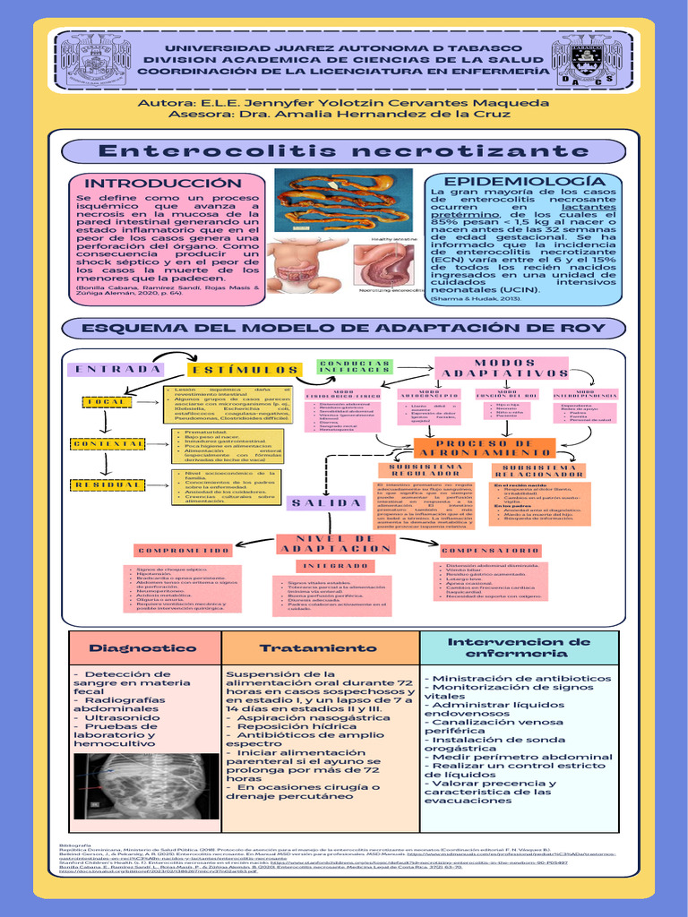Enterocolitis Necrotizante Infografia | PDF | Medicina CLINICA | Etapas ...