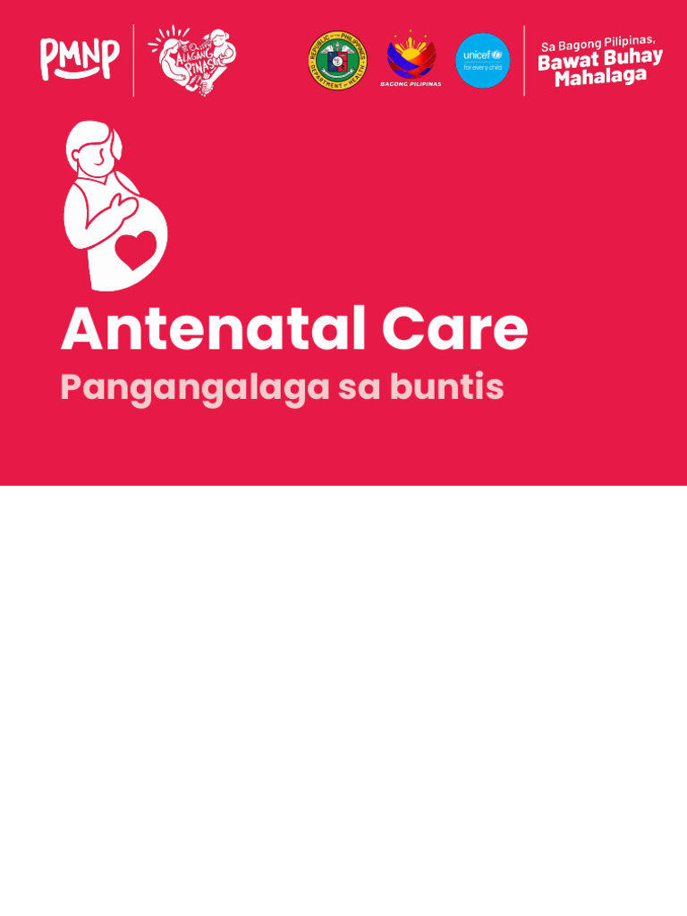 [Unicef _ Doh Copy] Pmnp Sbc v3 Anc Job Aid.pptx | PDF