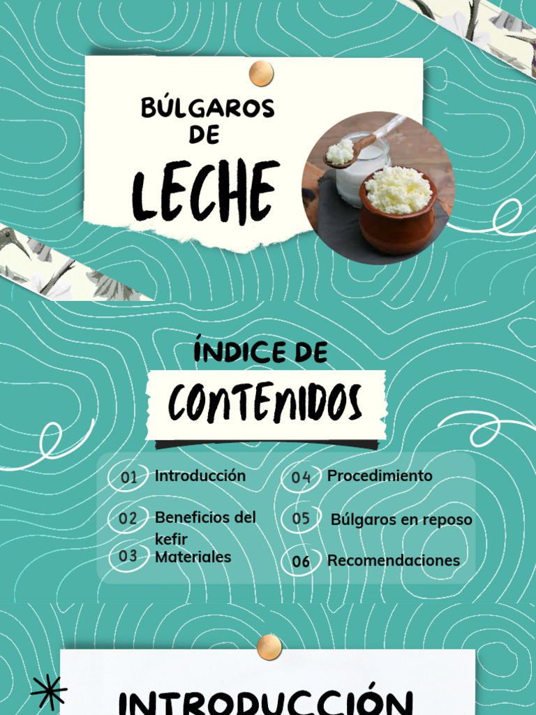 Búlgaros de Leche | PDF | Leche | Síndrome del intestino irritable