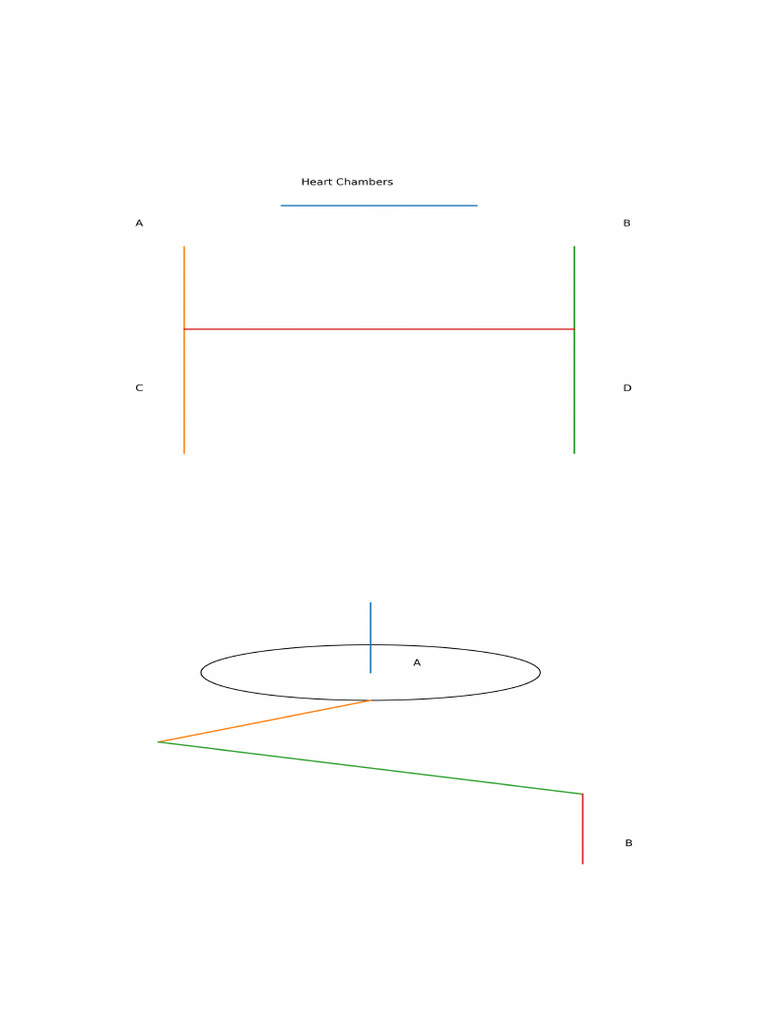 Std10 Science2 Diagram Questions With Diagrams | PDF