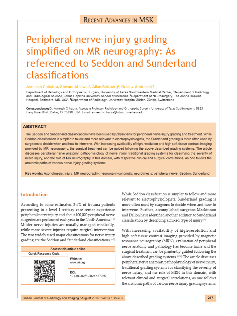 clasificacion de sunderlan y seddon | PDF | Axon | Nerve