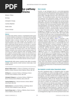 Haggitt Classification of Colorectal Polyps | PDF | Colorectal Cancer ...