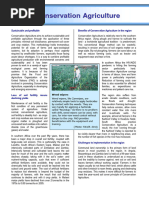 Understanding Fallowing in Agriculture | PDF | Crop Rotation | Agriculture