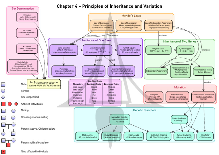 Principles of Inheritance and Variation_55987f75 614b 41b0 a078 ...